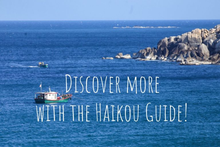 15 double-decker buses launch in Haikou - TropicalHainan.com