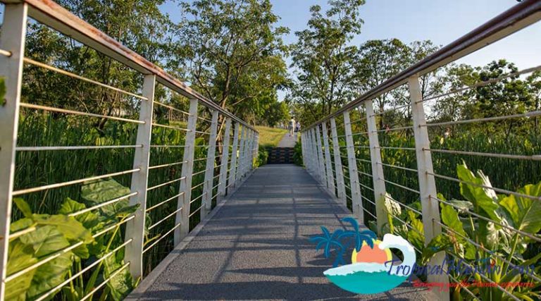 Discover Haikou E02 The Meishe River Wetland Park - TropicalHainan.com