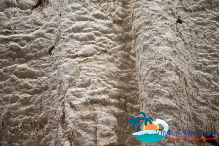 Li Minority people's culture on Hainan, an in-depth guide, part 3 textiles