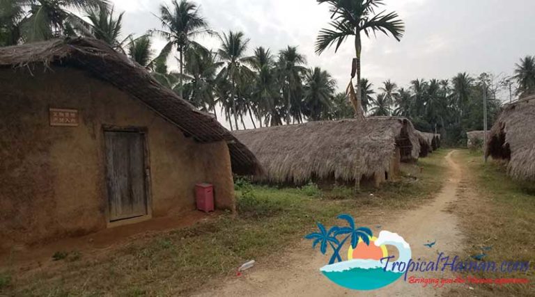 Li Minority culture on Hainan Island, an in-depth guide, houses and ...