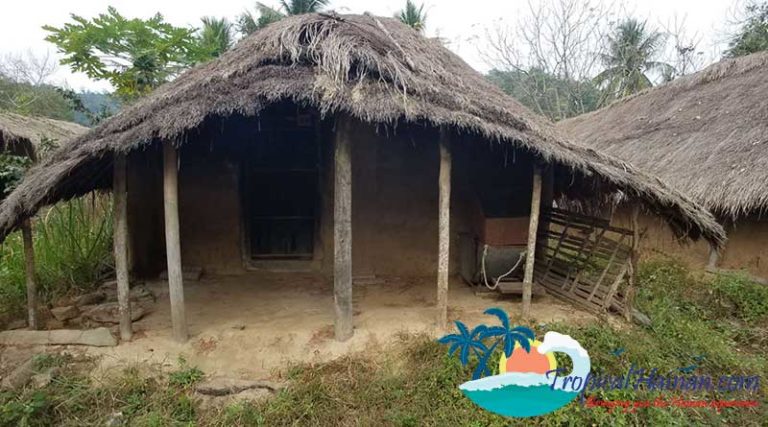 Li Minority culture on Hainan Island, an in-depth guide, houses and ...