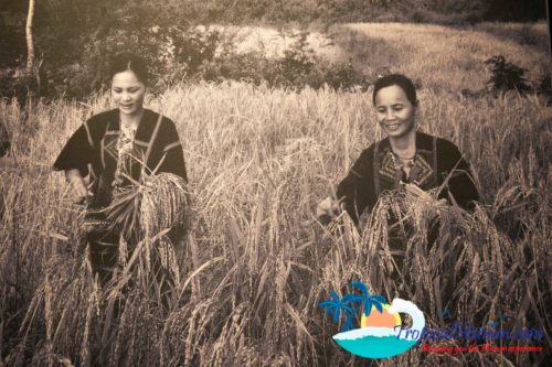 Li Minority culture on Hainan Island, an in-depth guide, houses and ...