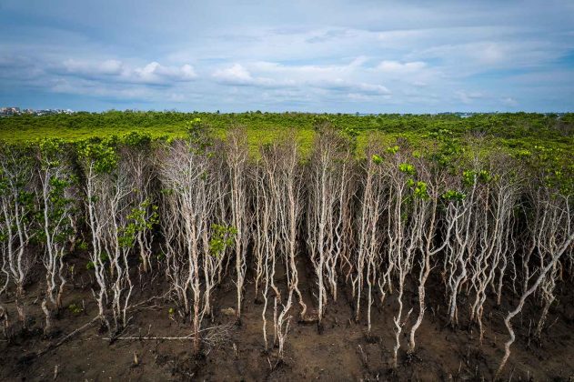Between Land and Sea: Where Tides and Tradition Meet, The Living ...