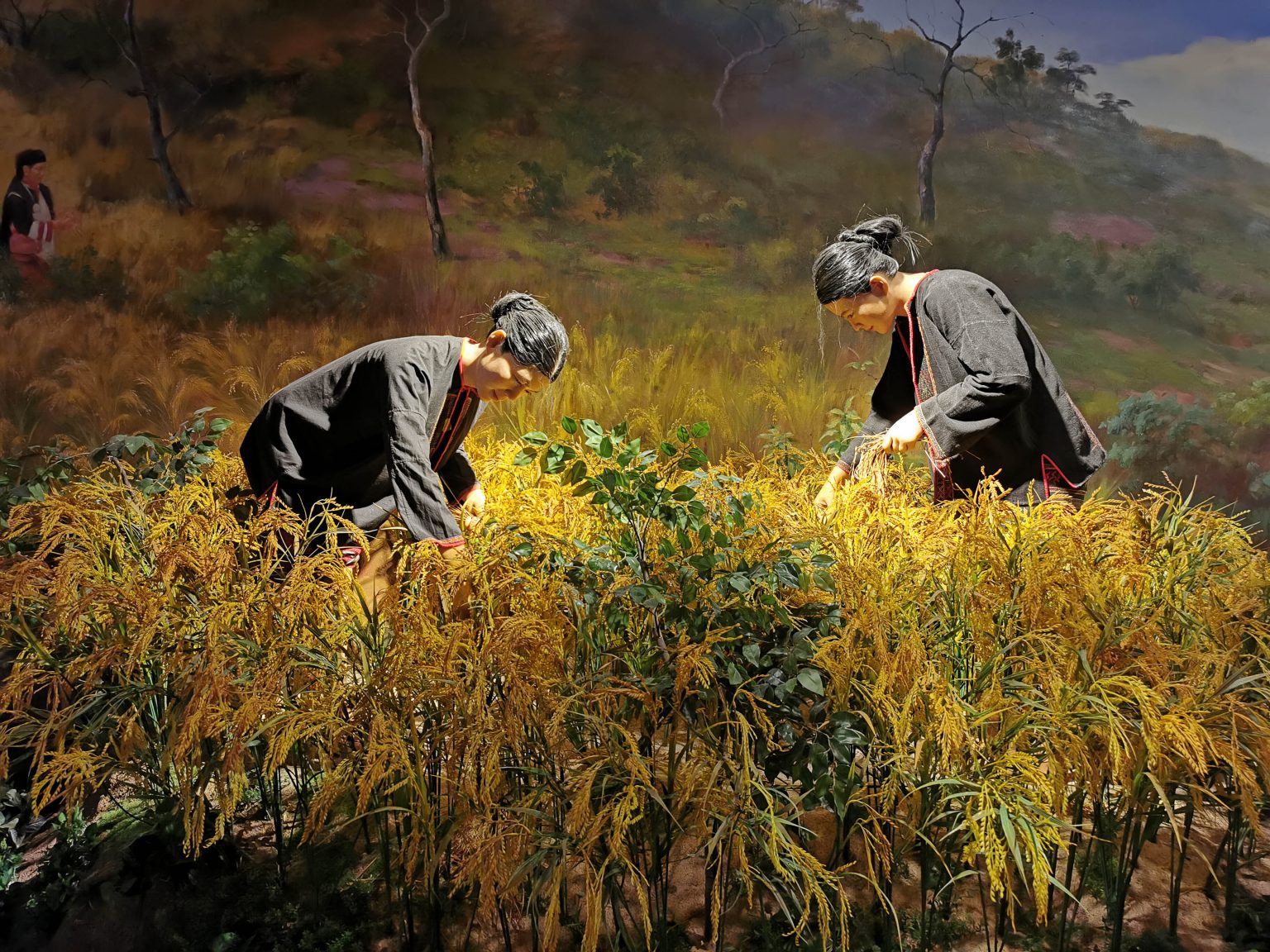 Why the Hainan Museum is a must visit this week - TropicalHainan.com