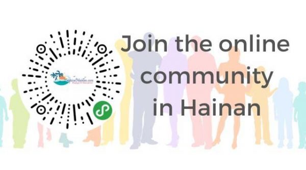 Beautiful craftwork representing the characteristics of Hainan and its ...