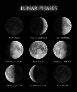 Explained, the Chinese lunar calendar - TropicalHainan.com