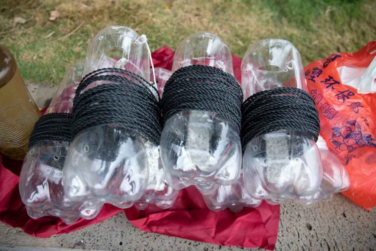 An old plastic bottle, a piece of string and a bag flour, bottle fish ...