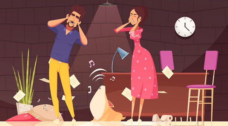 Who should you call with noise complaints? it's as easy as 12345 ...