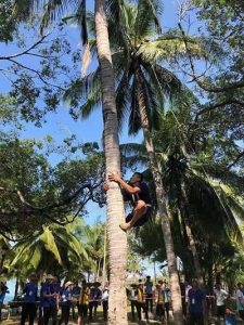 A new coconut tree climbing champion is crowned - TropicalHainan.com