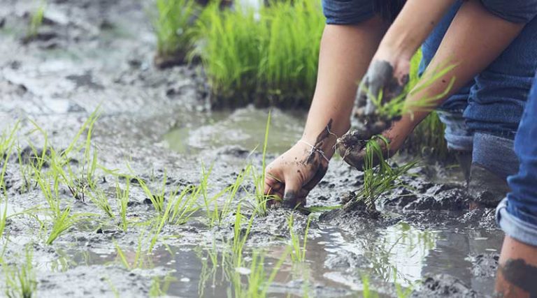 Hiking in Hainan – routes, trails, tips and recommended spots ...