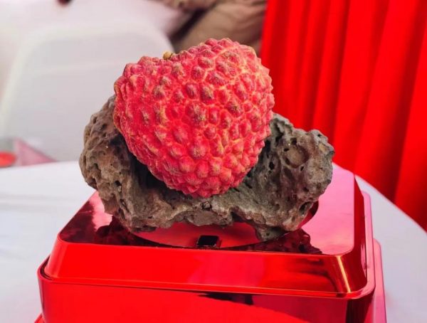 King Lychee auctioned off for whopping 24,800 yuan - TropicalHainan.com