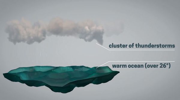 How does a typhoon form? - TropicalHainan.com