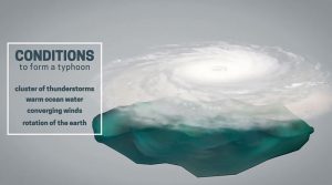 How does a typhoon form? - TropicalHainan.com