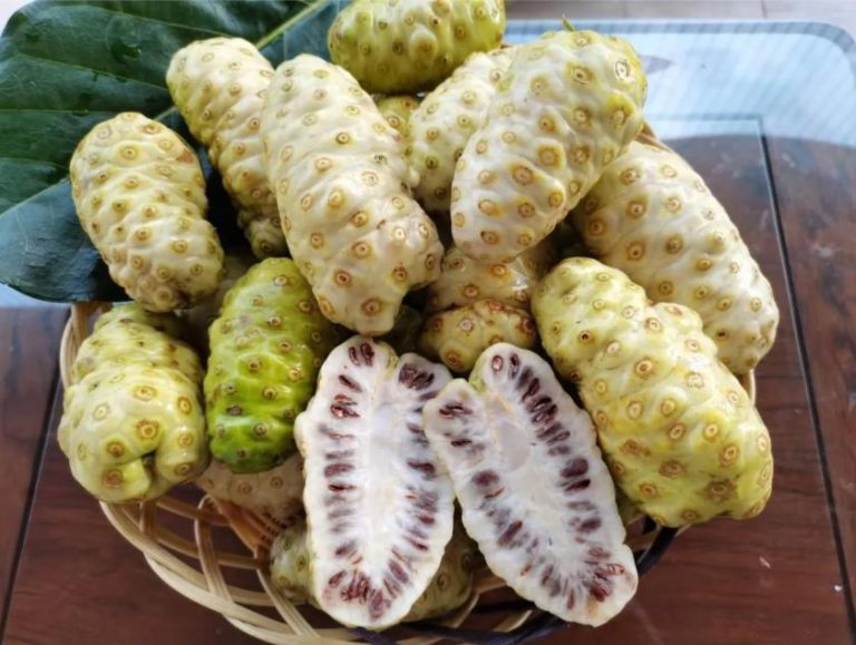 Agricultural products grown on Hainan Island. How many do you know ...