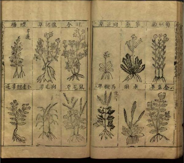 Who was Li Shizhen, barefoot doctor and father of traditional Chinese ...