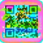 QR Codes: From Daily Life in Hainan to Creative Innovations