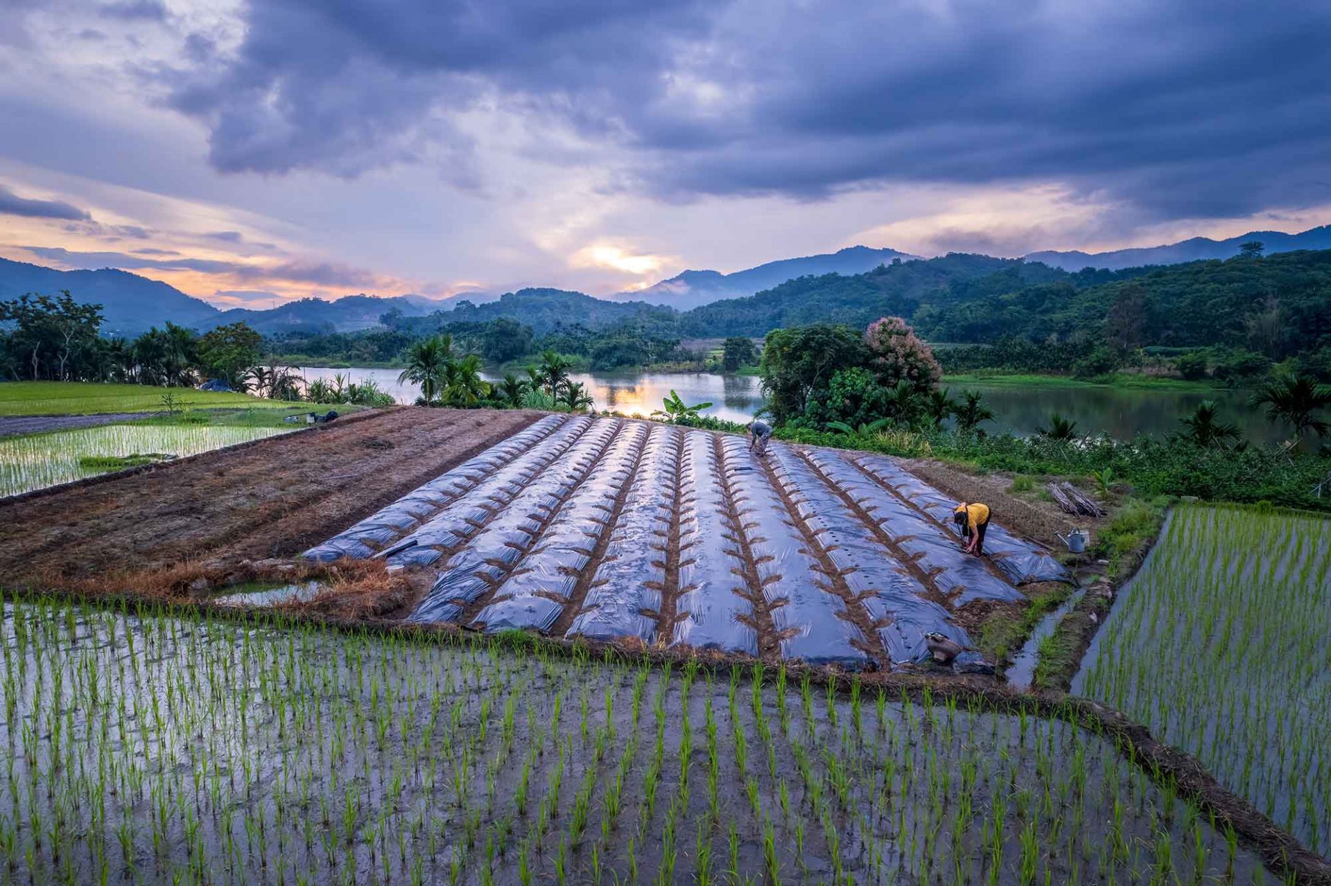 Chubaocun: A Cultural Village at the Heart of Hainan's Li Minority in ...