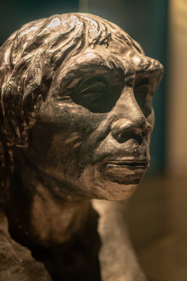 Zhoukoudian Site Cultural Exhibition at Hainan Museum
