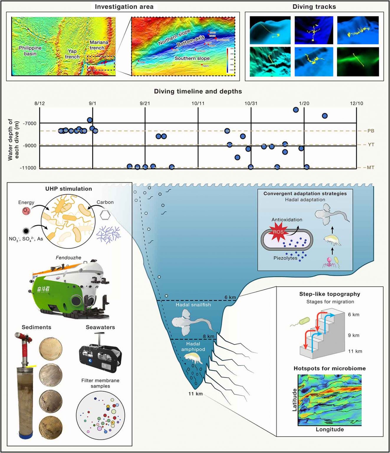 Scientists Release the First-Ever Map of the Deepest Ocean Ecosystem