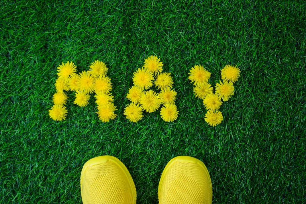 China’s 2025 May Day Holiday: Dates, Toll-Free Roads, and Workday ...