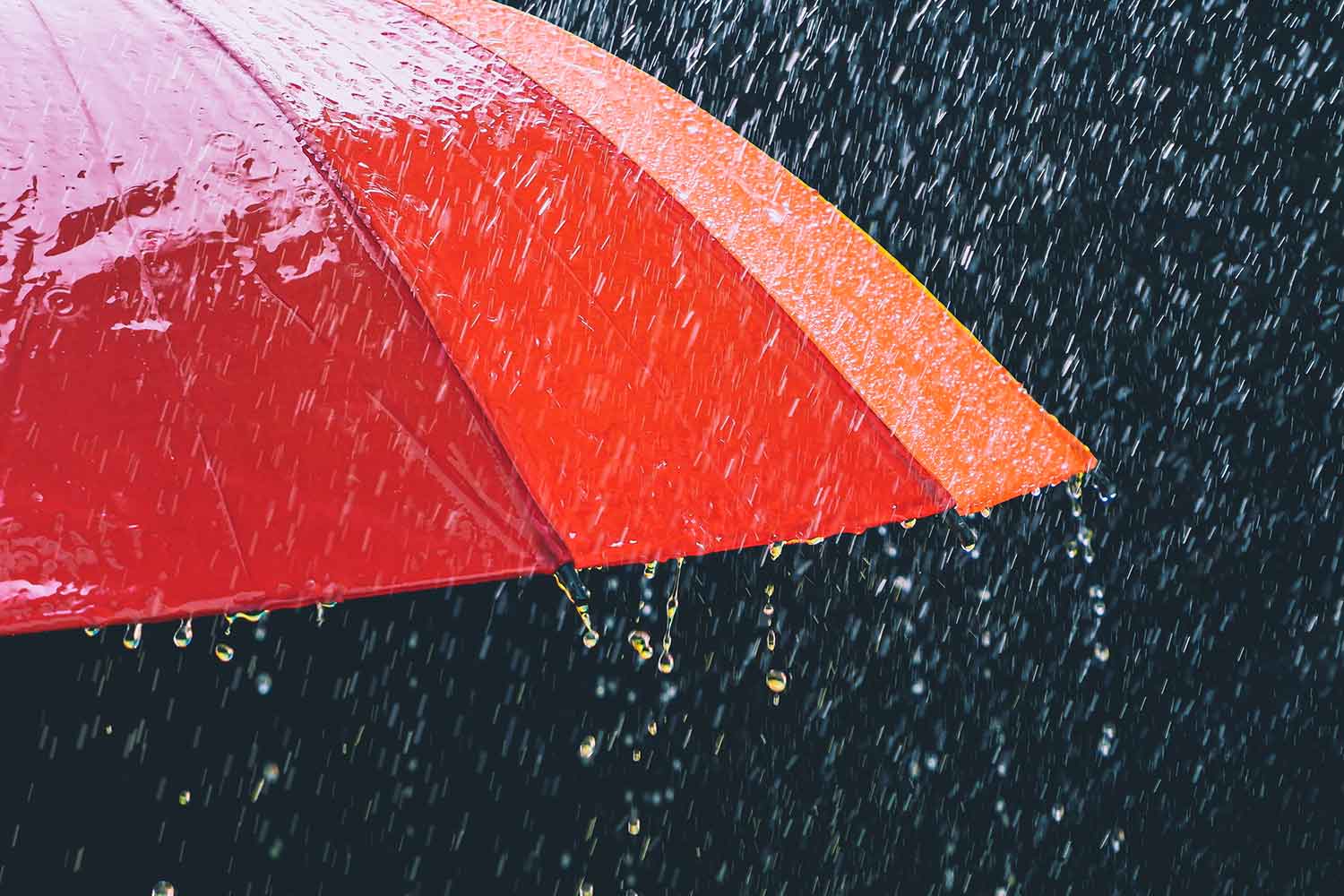 Typhoon Wipha to Bring Three More Days of Heavy Rain Across Southern ...